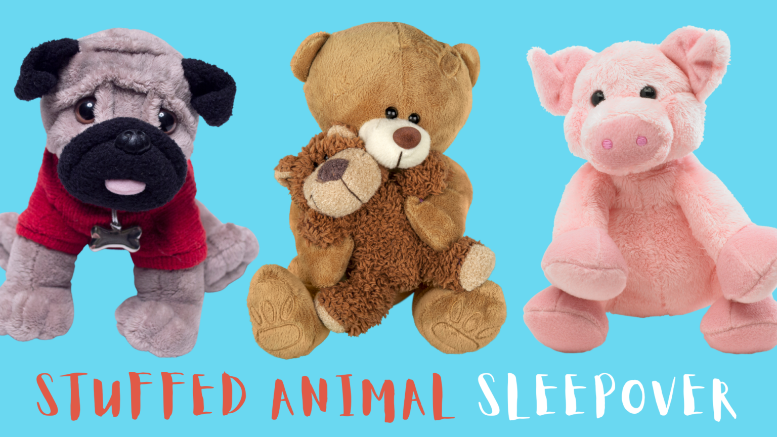 Stuffed Animal Sleepover - Mahomet Public Library