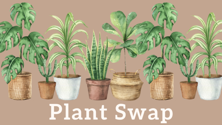 Plant Swap - Mahomet Public Library
