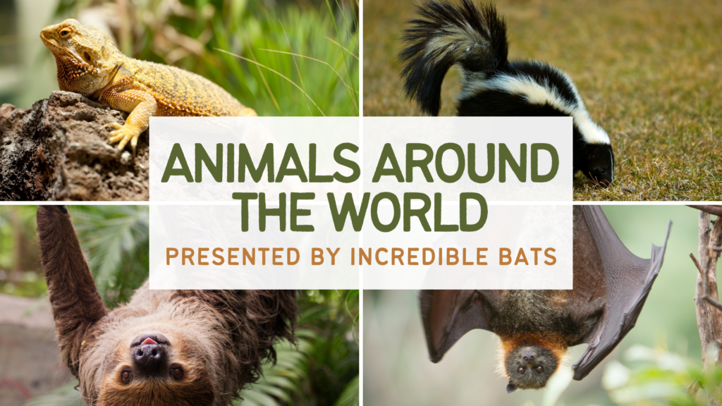 Animals Around the World - Mahomet Public Library